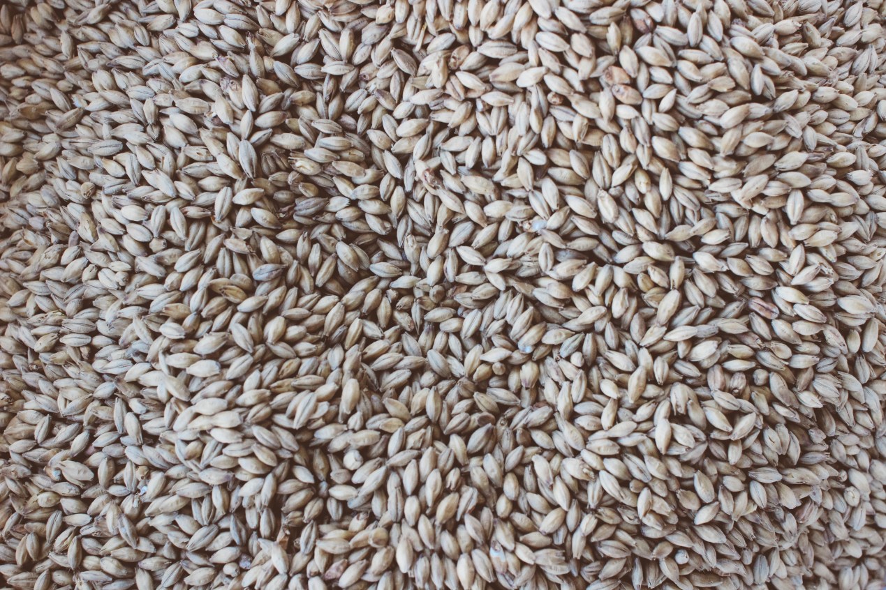 Homebrewing With John Holzer « Beer and Baking